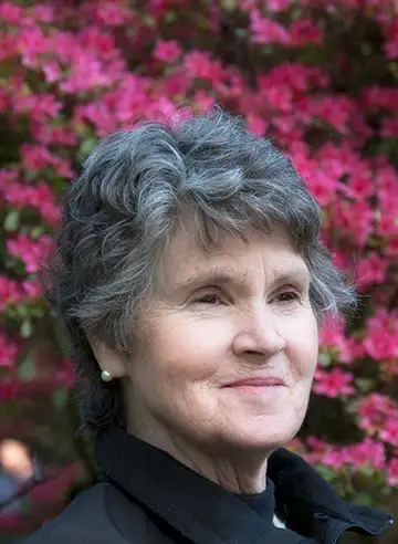 Meet the Team – The INTO LIGHT Project